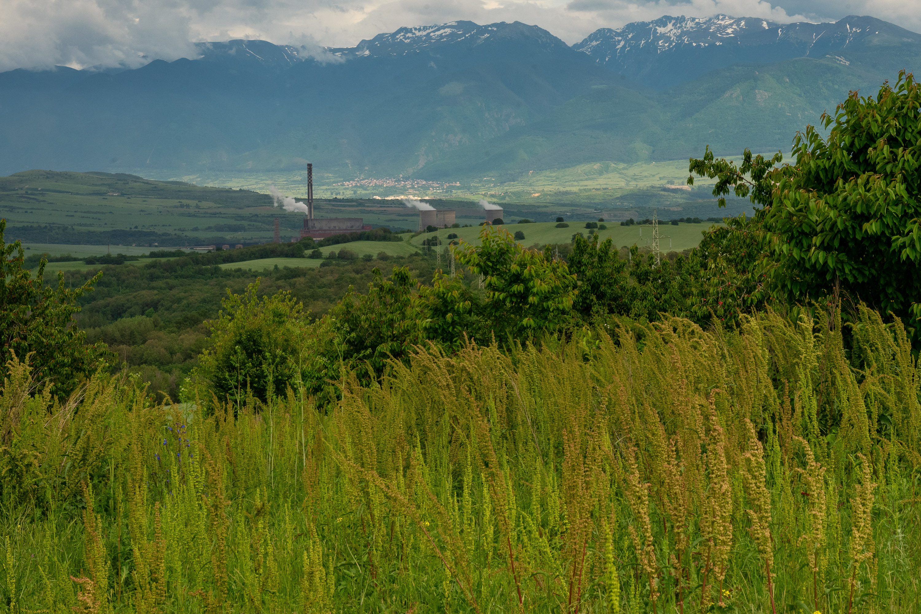 41 European Mayors Declare Support for a Just Transition from Coal | WWF