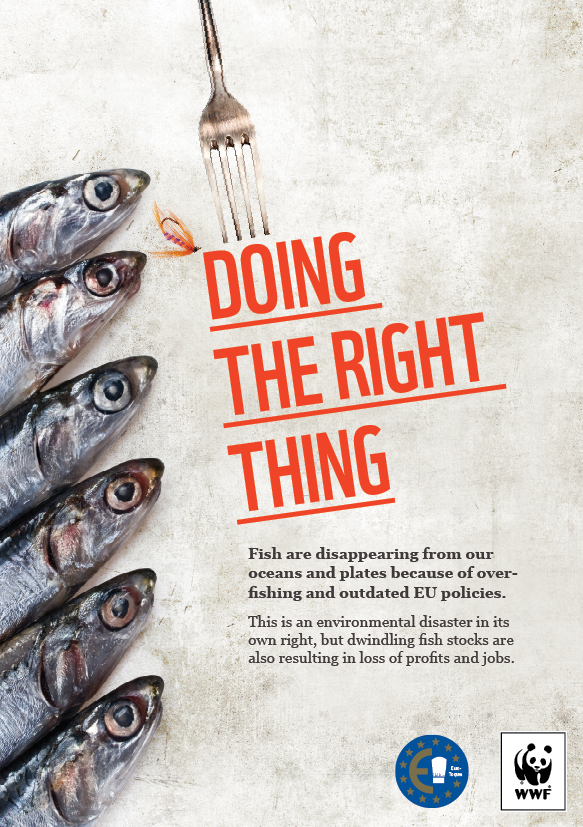 International chefs cook sustainable fish dishes at the EU Parliament | WWF