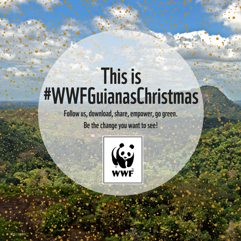 This is #WWFGuianasChristmas | WWF