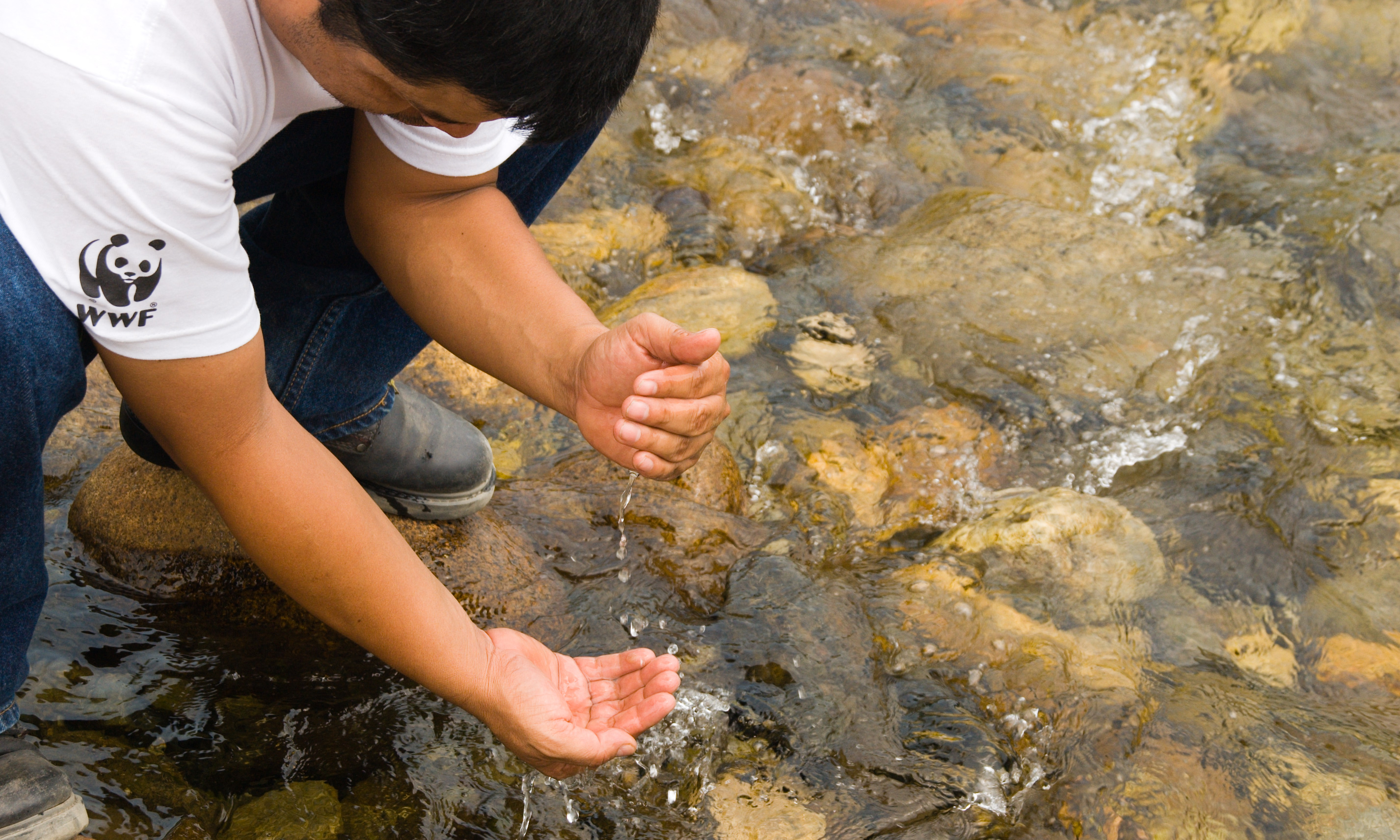 Water management requires global perspective, local solutions | WWF