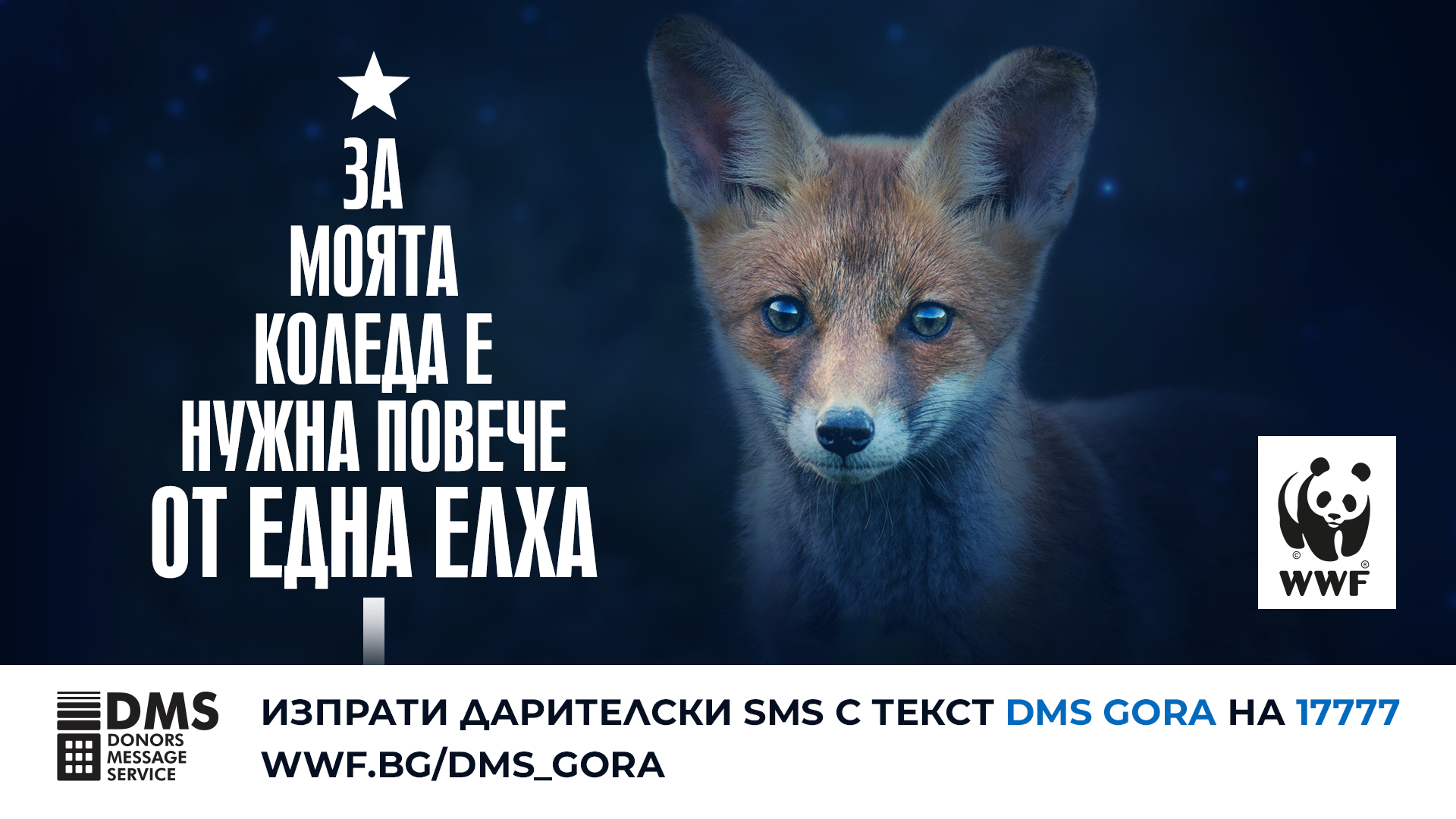 За Коледа WWF си пожелава още повече истински гори | WWF