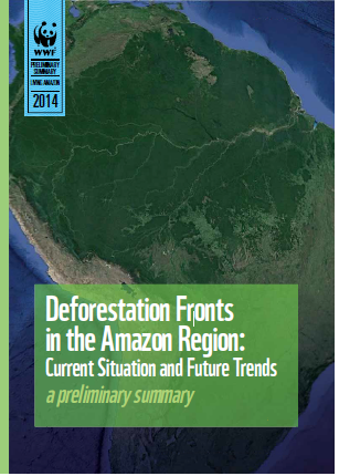 Deforestation Fronts in the Amazon Region | WWF