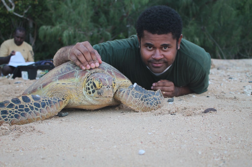 Turtle conservation in Fiji | WWF