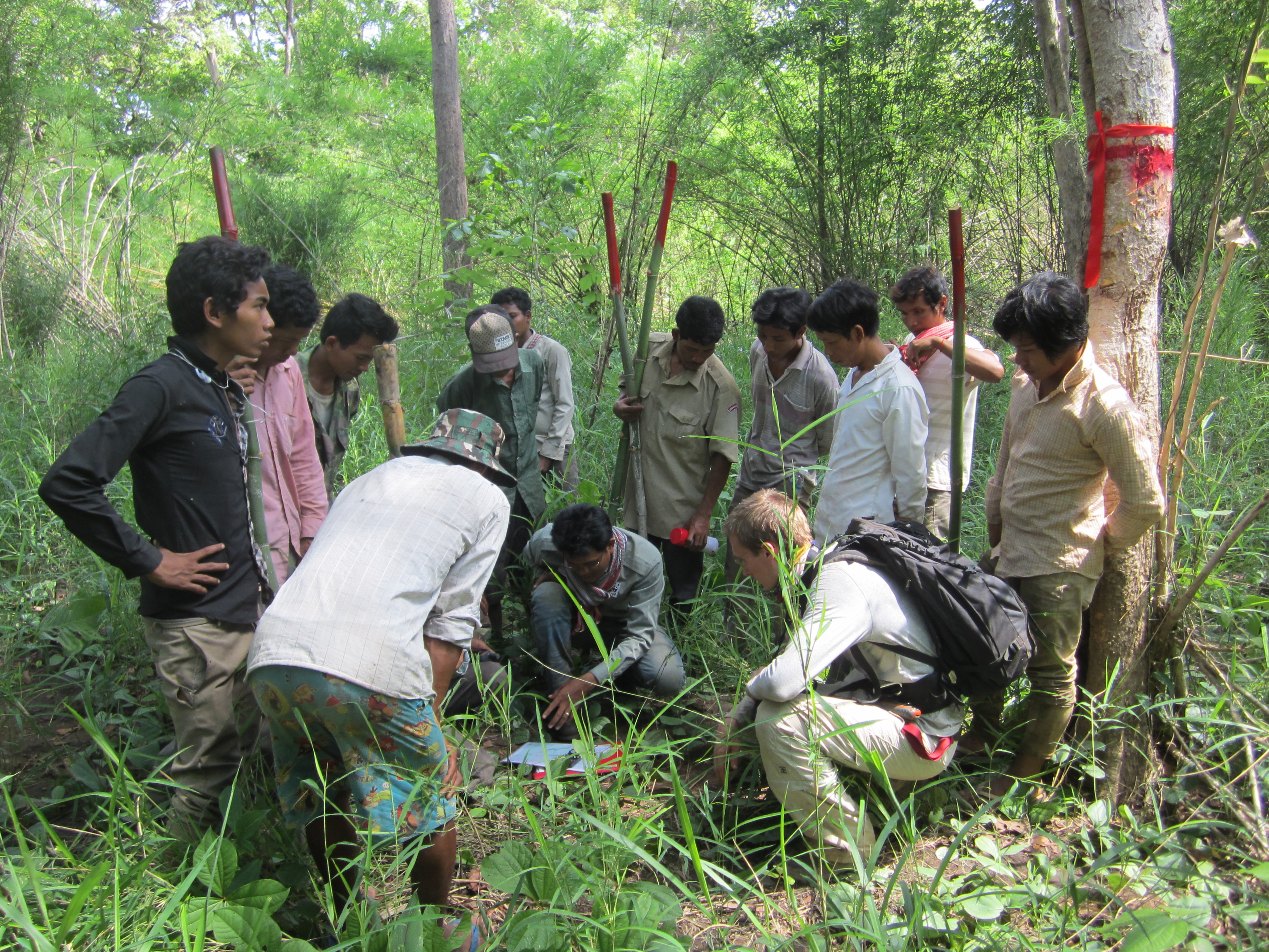 WWF pilots biodiversity monitoring system within TRAFO sites | WWF