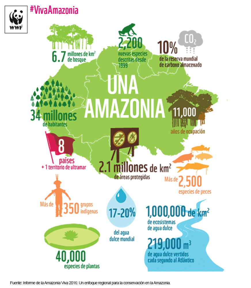 Region-wide cooperation critical to future of the Amazon | WWF