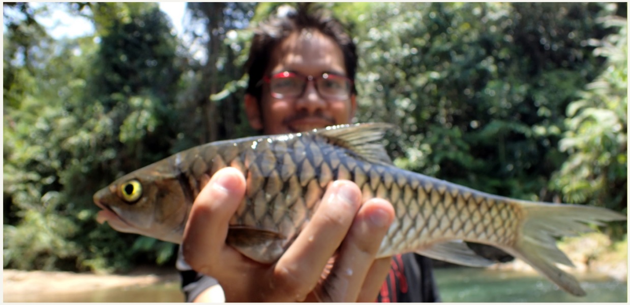 River and Indigenous Fish Experts of Sg. Kain, Baleh, Sarawak | WWF