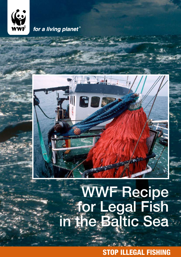 WWF recipe for legal fish in the Baltic Sea | WWF