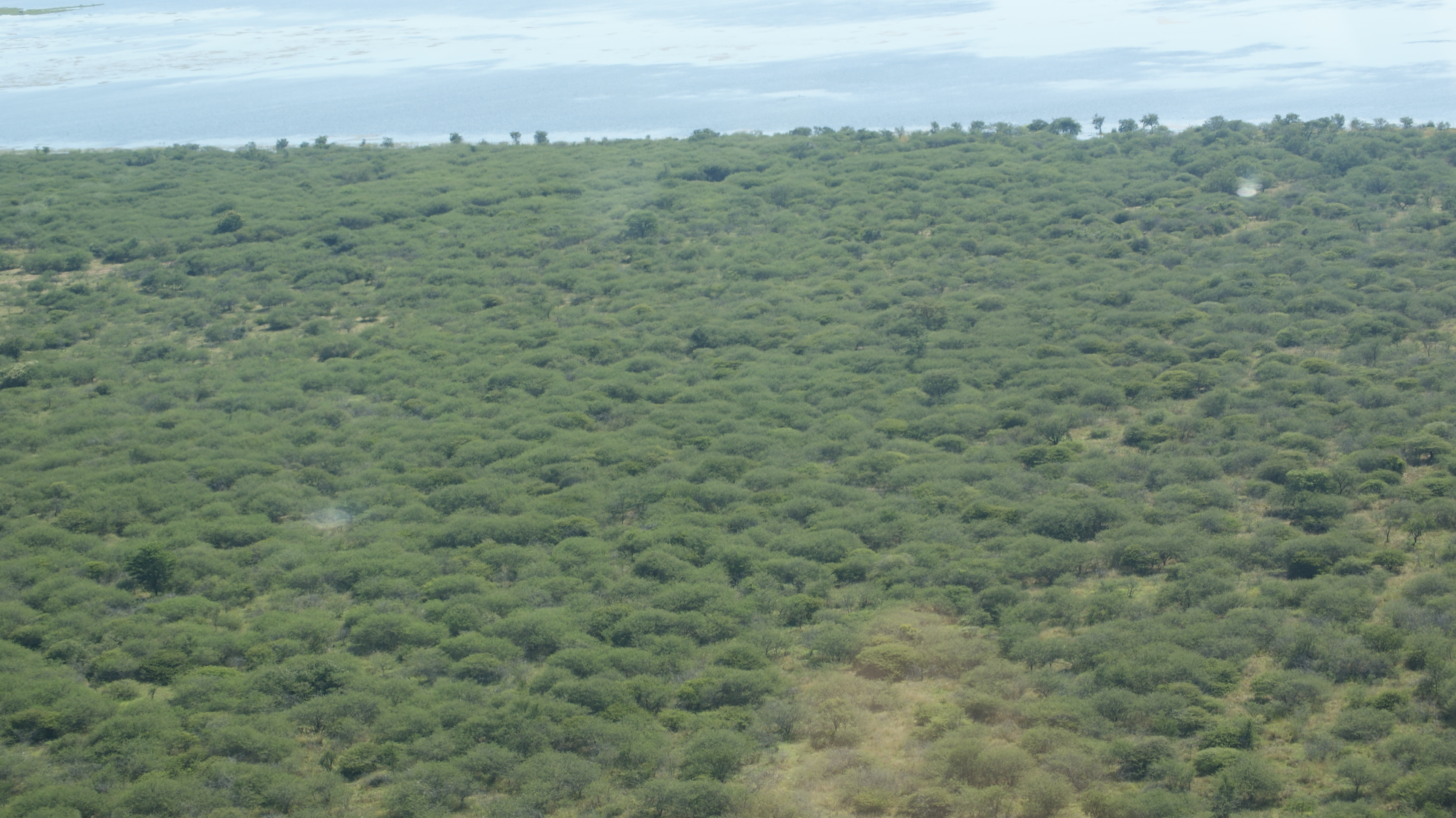 Major Congo forest climate project agreed | WWF