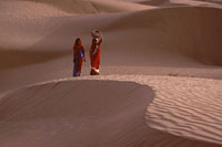 World’s deserts threatened by climate change, UN warns | WWF