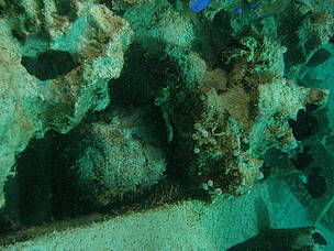 Climate Witness: Rifi Hamdani, Indonesia | WWF