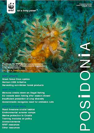 Posidonia Summer 2007 | WWF