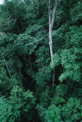 Assessment of the Mining Sector and Infrastructure Development in the ...