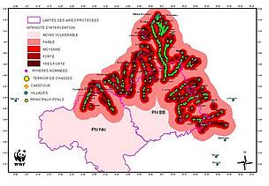 Protecting Baka pygmies access to forest resources in Southeast ...
