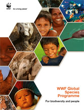 Brochure: WWF Global Species Programme - for biodiversity and people | WWF