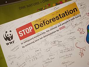 Ministers commit to zero net deforestation by 2020 | WWF